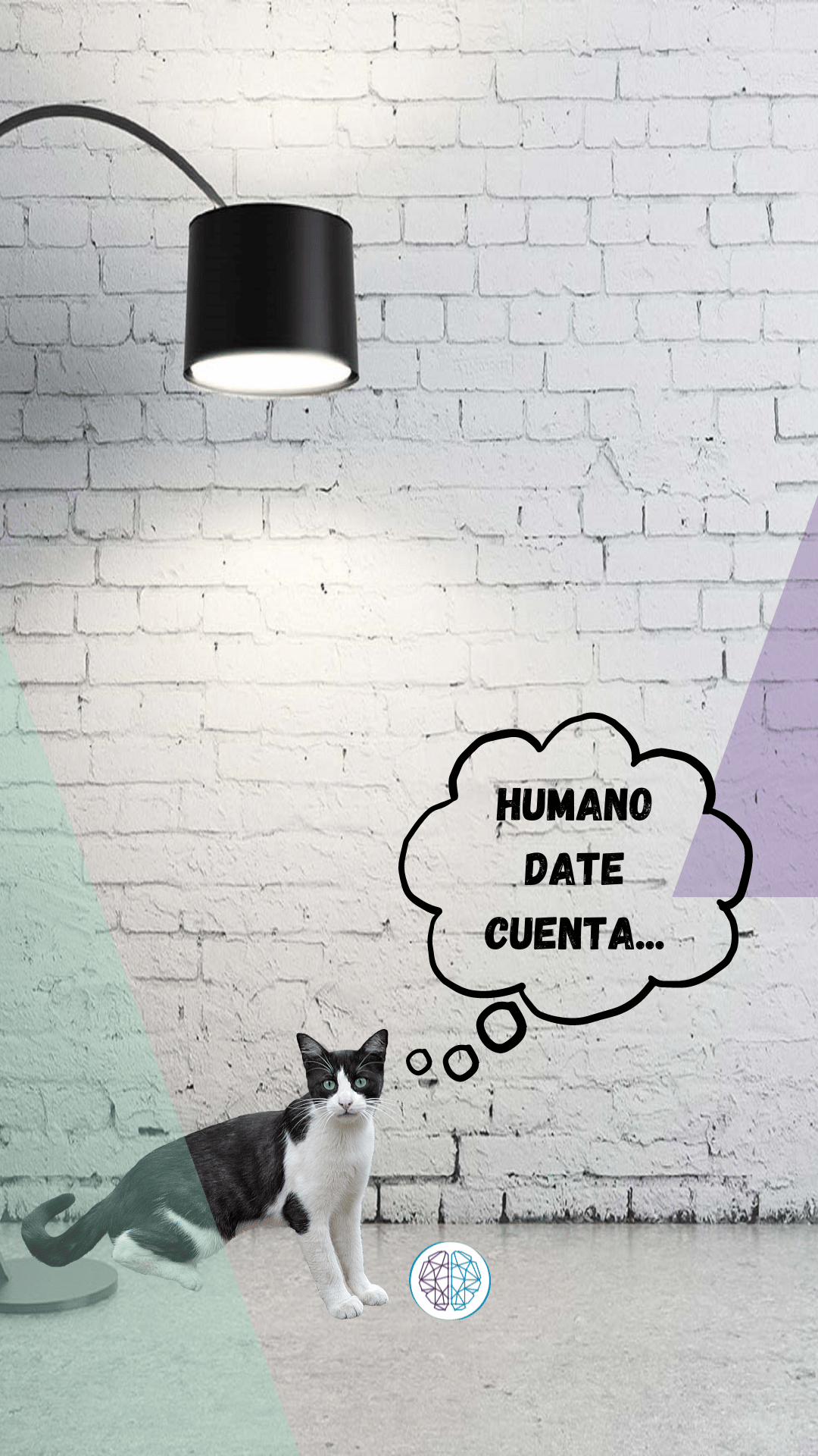 Psicología Insight - Insight - Terapia Psicológica y Psicología